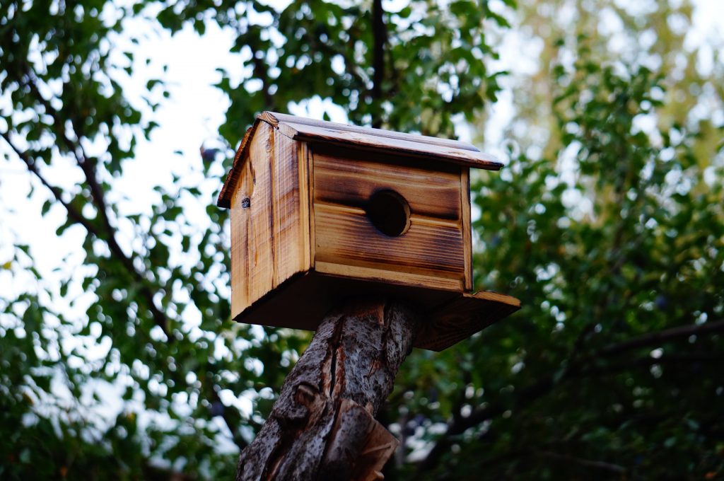 How to Build the Best Log Cabin Bird House - Log Cabin USA